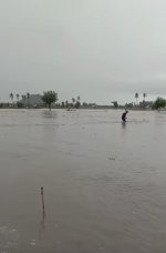 Tanaman Bawang Warga Ngali di Brang Kolong Terendam Banjir, Kerugian ...